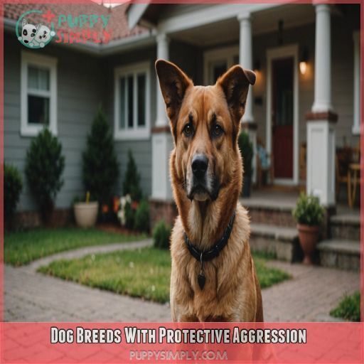 Dog Breeds With Protective Aggression: Top 10 Fearless Guardians Revealed