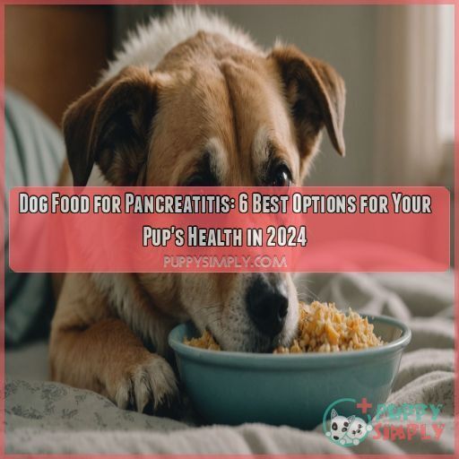 Dog Food for Pancreatitis: 6 Best Options for Your Pup's Health in 2024