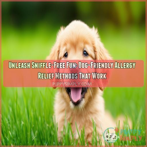 Unleash Sniffle-Free Fun: Dog-Friendly Allergy Relief Methods That Work