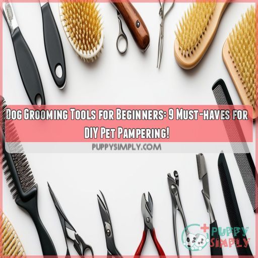 Dog Grooming Tools for Beginners: 9 Must-haves for DIY Pet Pampering!