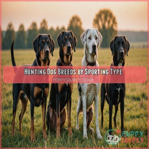 Best Hunting Dog Breeds for Beginners: Top Picks for a Loyal Companion