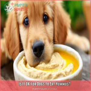 Can Dogs Eat Hummus? The Risks of Sharing and Safe Alternatives