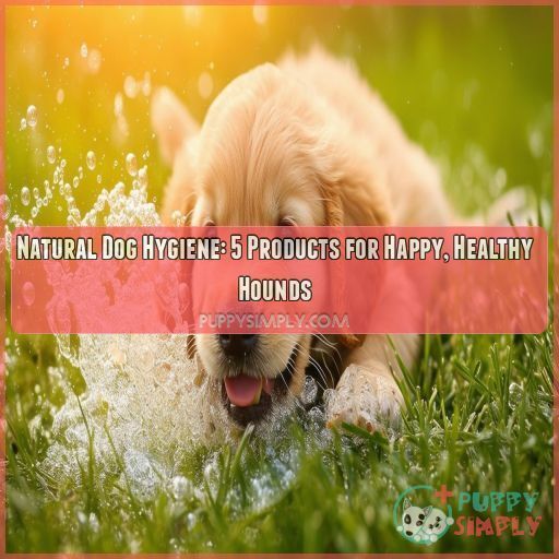Natural Dog Hygiene: 5 Products for Happy, Healthy Hounds