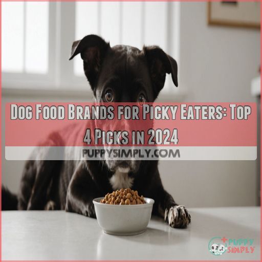 Dog Food Brands for Picky Eaters: Top 4 Picks in 2024