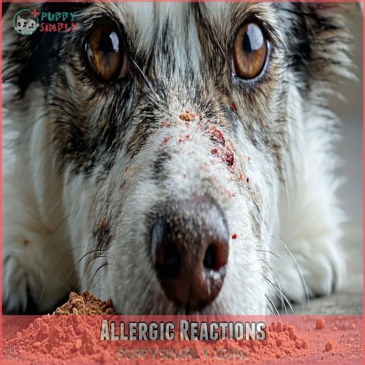 Can Dogs Eat Orange Chicken? 5 Hidden Dangers Every Pet Owner Must Know