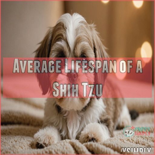 Shih Tzu Lifespan: Tips for a Long, Healthy Life