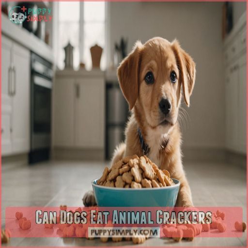 Can Dogs Eat Animal Crackers? Safety, Risks & Healthy Alternatives