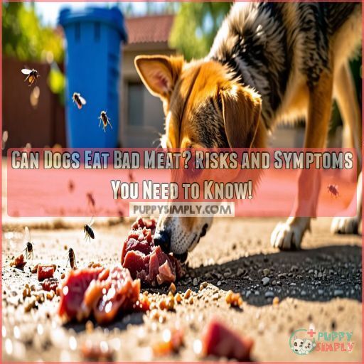 Can Dogs Eat Bad Meat? Risks and Symptoms You Need to Know!