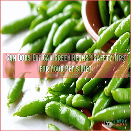 Can Dogs Eat Can Green Beans? Safety Tips for Your Pet's Diet