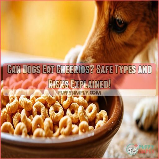 Can Dogs Eat Cheerios? Safe Types and Risks Explained!