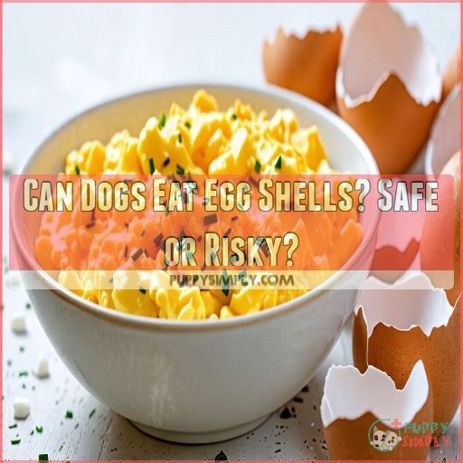 Can Dogs Eat Egg Shells? Safe or Risky?