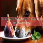 Can Dogs Eat Figs? Benefits, Risks, and Safe Feeding Tips