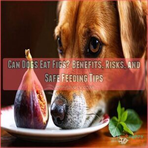 Can Dogs Eat Figs? Benefits, Risks, and Safe Feeding Tips