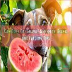 Can Dogs Eat Guava? Benefits, Risks, and Feeding Tips
