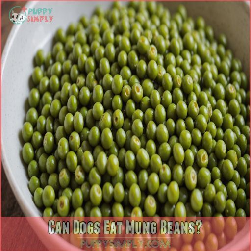 Can Dogs Eat Mung Beans? The Surprising Truth Pet Owners Need to Know