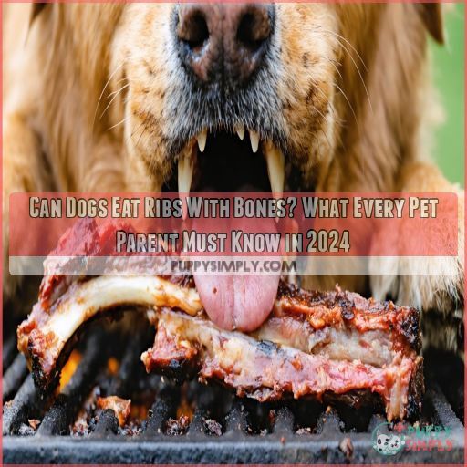 Can Dogs Eat Ribs With Bones? What Every Pet Parent Must Know in 2024