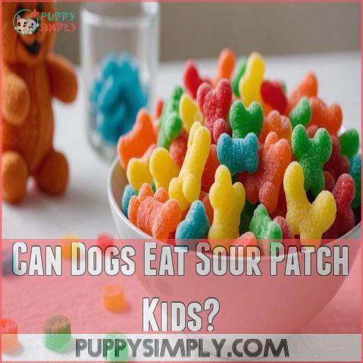 Can Dogs Eat Sour Patch Kids? Risks & Safety Tips Revealed
