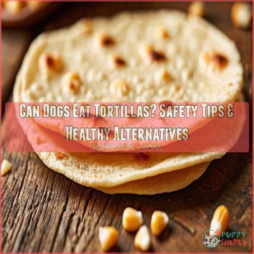 Can Dogs Eat Tortillas? Safety Tips & Healthy Alternatives