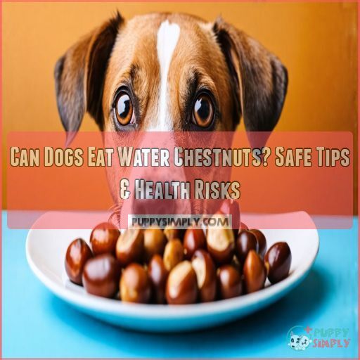 Can Dogs Eat Water Chestnuts? Safe Tips & Health Risks