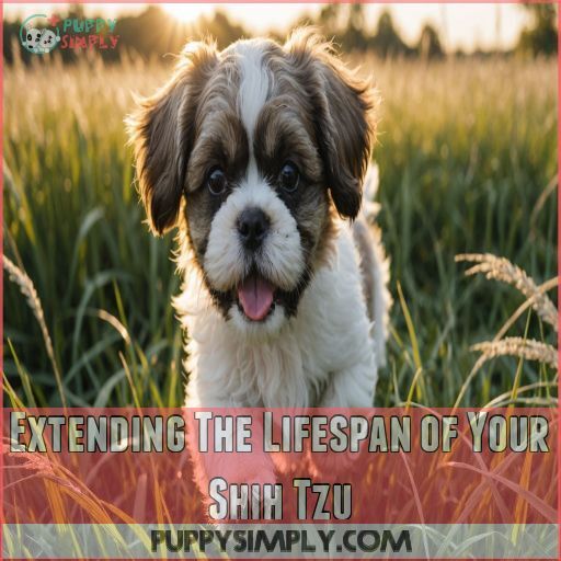 Shih Tzu Lifespan: What Affects Their Years of Life?