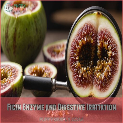 Can Dogs Eat Figs? Benefits, Risks, and Safe Feeding Tips