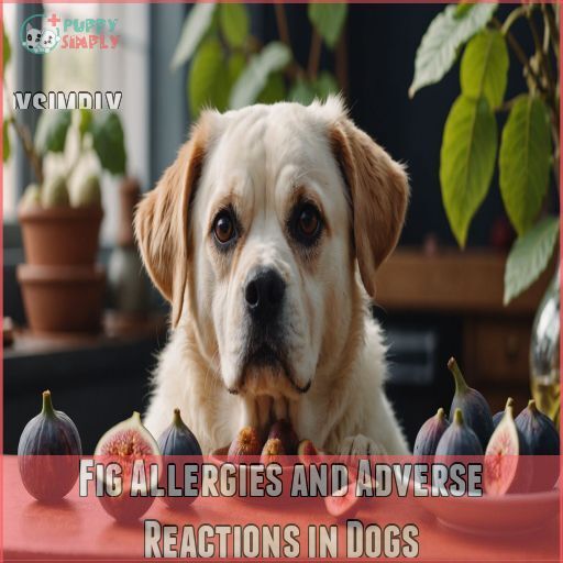 Can Dogs Eat Figs? Benefits, Risks, and Safe Feeding Tips