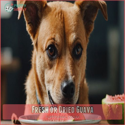 Can Dogs Eat Guava? Benefits, Risks, and Feeding Tips