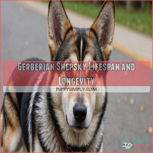 Siberian Husky German Shepherd Mix: 10 Shocking Facts You Must Know