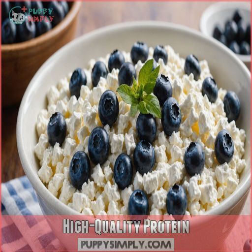 Can Dogs Eat Cottage Cheese? Surprising Truths Every Pet Owner Should Know