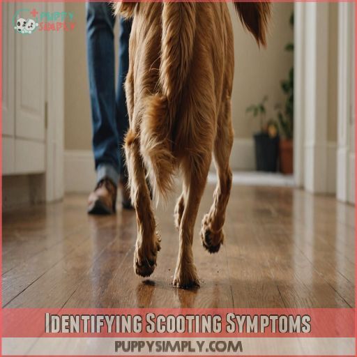 Home Remedies for Dog Scooting: 10 Tips to Soothe Your Pet