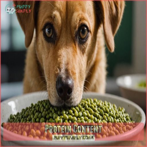 Can Dogs Eat Mung Beans? The Surprising Truth Pet Owners Need to Know