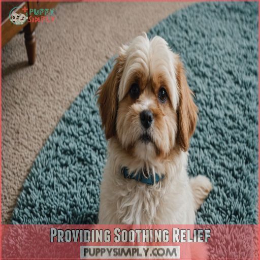 Home Remedies for Dog Scooting: 10 Tips to Soothe Your Pet
