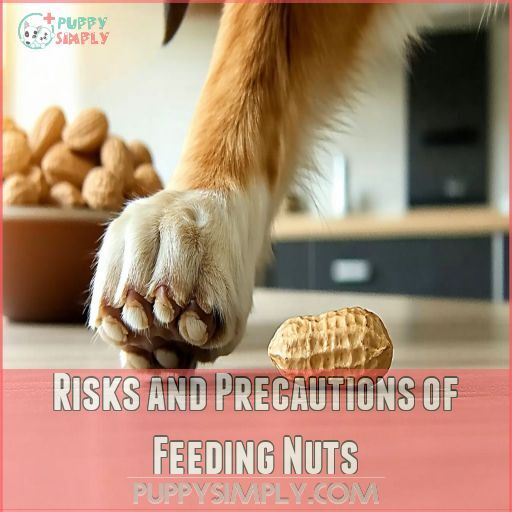 Can Dogs Eat Peanuts and Cashews? Find Out The Risks Now