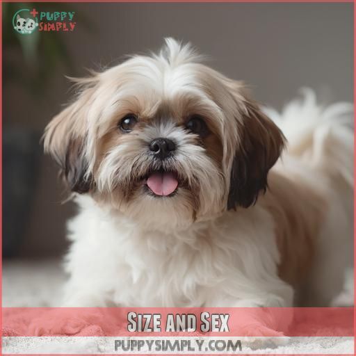 Shih Tzu Lifespan: Tips for a Long, Healthy Life