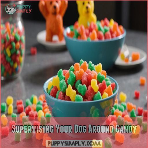Can Dogs Eat Sour Patch Kids? Risks & Safety Tips Revealed