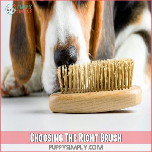 How to Groom Your Beagle: 10 Expert Tips for a Happy, Healthy Pup