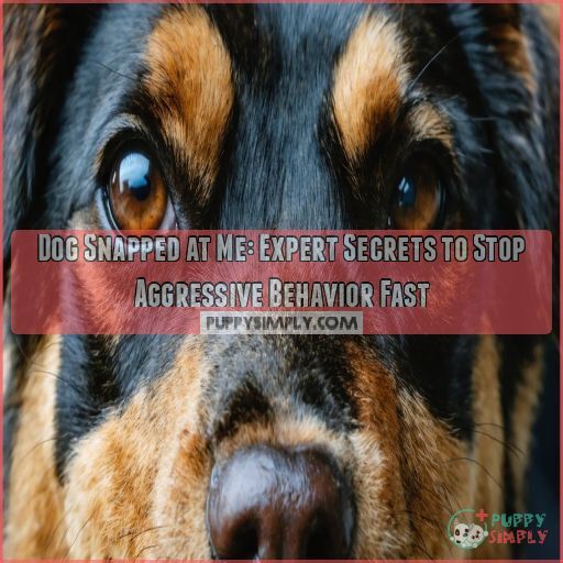 Dog Snapped at Me: Expert Secrets to Stop Aggressive Behavior Fast