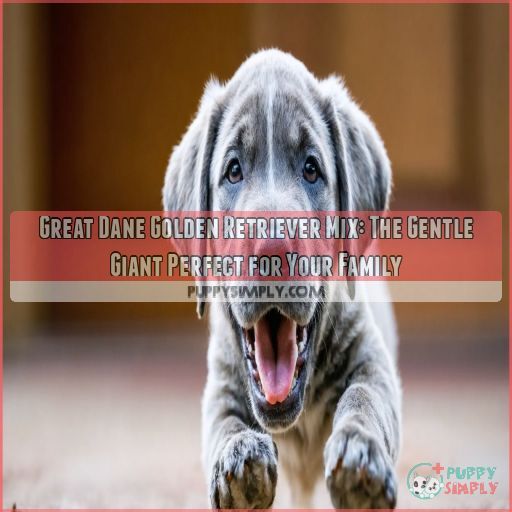 Great Dane Golden Retriever Mix: The Gentle Giant Perfect for Your Family