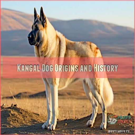 Kangal Dog Guide: Temperament, Care, and Key Facts