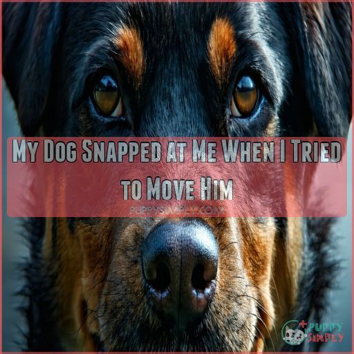 Dog Snapped at Me: Expert Secrets to Stop Aggressive Behavior Fast