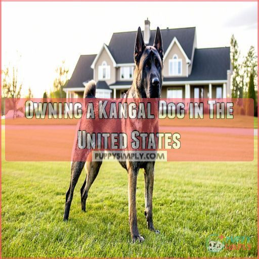 Kangal Dog Guide: Temperament, Care, and Key Facts