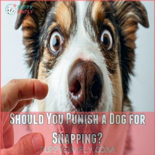Dog Snapped at Me: Expert Secrets to Stop Aggressive Behavior Fast