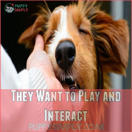 Dog Biting Arms: Why It Happens & How to Stop It for Good
