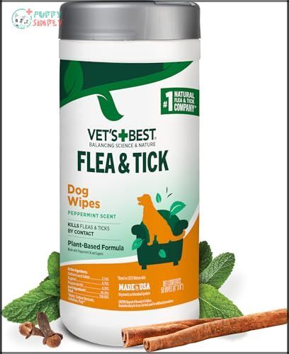 Best Flea and Tick Pills for Dogs: Top 6 Vet-Approved Options in 2025