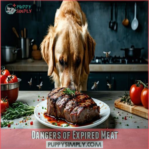 Can Dogs Eat Expired Meat? The Hidden Dangers You Need to Know Today