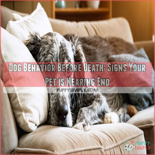 Dog Behavior Before Death: Signs Your Pet is Nearing End