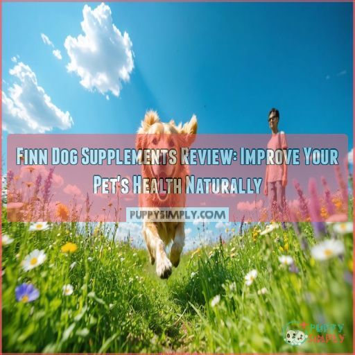 Finn Dog Supplements Review: Improve Your Pet's Health Naturally