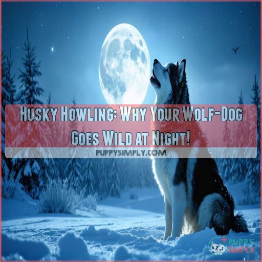 Husky Howling: Why Your Wolf-Dog Goes Wild at Night!