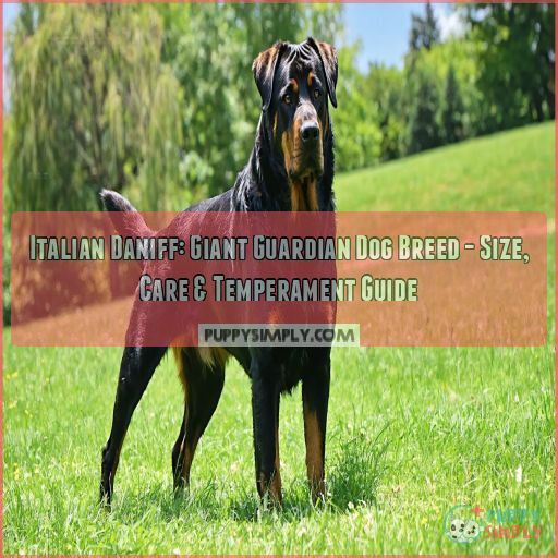 Italian Daniff: Giant Guardian Dog Breed - Size, Care & Temperament Guide