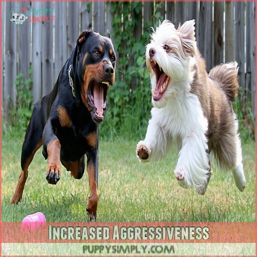 Male Dogs Behavior Around Female in Heat: 9 Signs & Solutions to Know